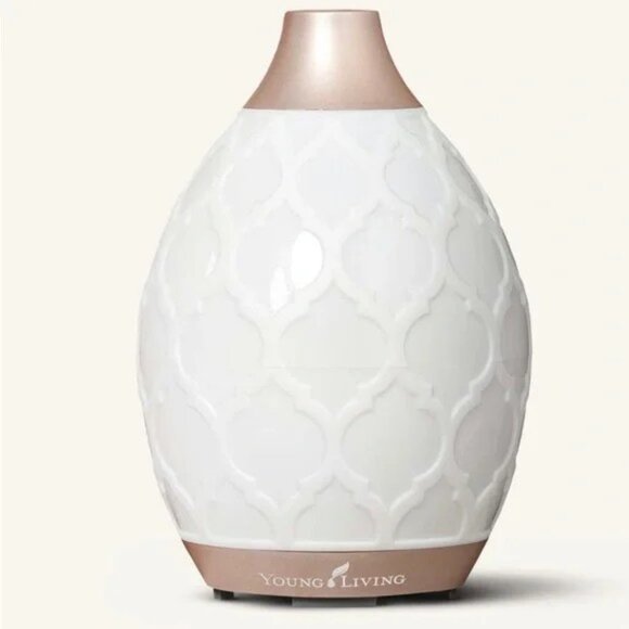 Young Living | Accents | Young Living Desert Mist Diffuser | Poshmark